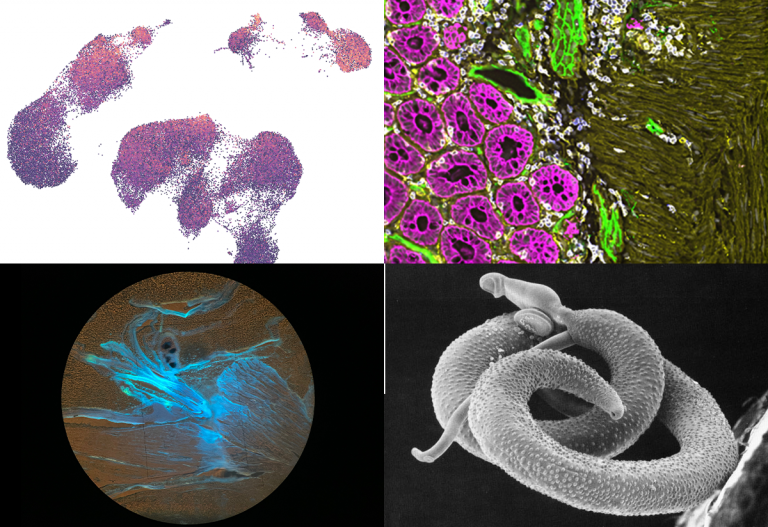 Research – Gao lab